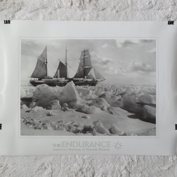 Wall Decor | The Endurance Poster | Poshmark